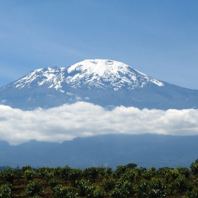 How Dangerous Is Mount Kilimanjaro? | Kilimanjaro Lifetime Adventures